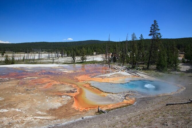 Best of Yellowstone Nat'l Park from W Yellowstone - Private Tour - An In-Depth Look at the Tour Experience