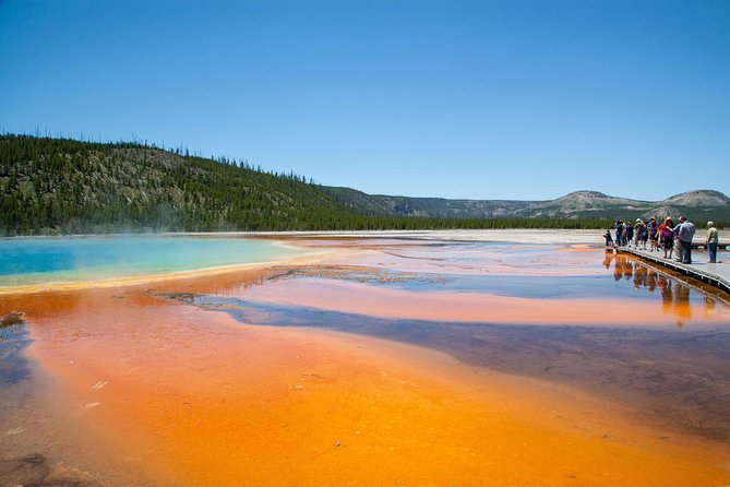 Best of Yellowstone Private National Park Safari Tour - An In-Depth Look at the Yellowstone Private Safari Tour