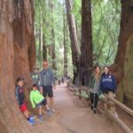 Best San Francisco, Muir Woods & Sausalito Private Combo Tour - Why the Value Matters