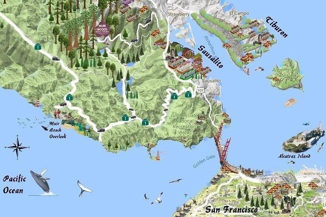Best San Francisco, Muir Woods & Sausalito Private Combo Tour - Who Will Love This Tour?