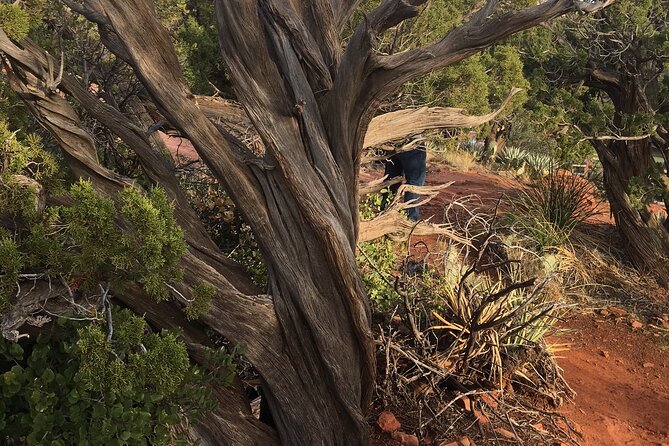 Best Vortex and Chakra Tour of Sedona - The Itinerary in Detail