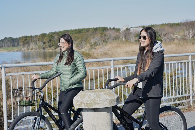 Bicycle Rental from Visitor Center location at Assateague, MD - Why Rent a Bicycle at Assateague?