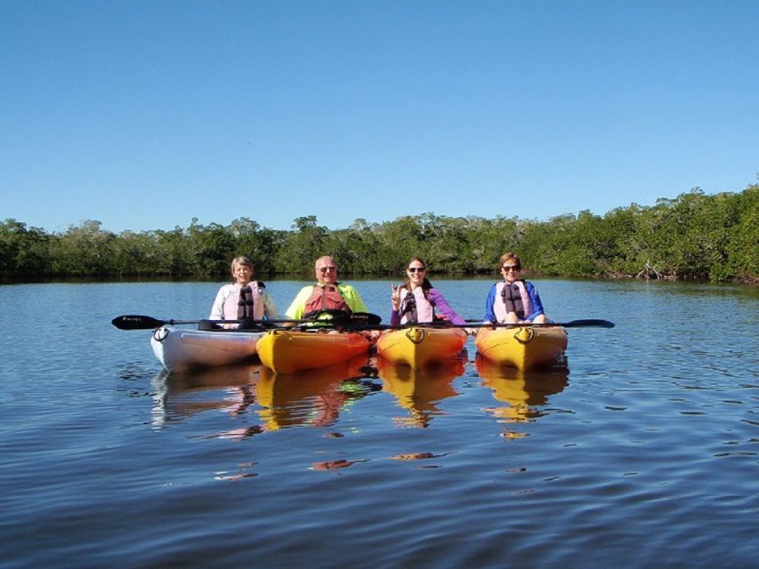 Biddeford Pool: Half Day Kayak or SUP Rental - Key Points