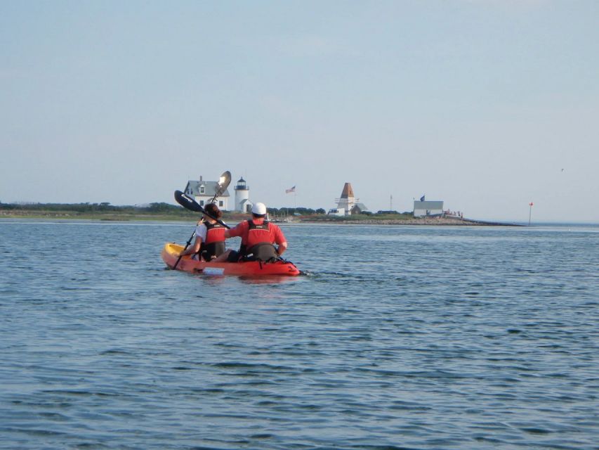 Biddeford Pool: Half Day Kayak or SUP Rental - Detailed Breakdown of the Experience