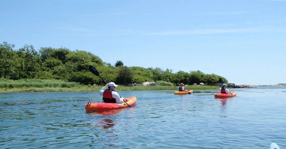 Biddeford Pool: Half Day Kayak or SUP Rental - What Travelers Are Saying
