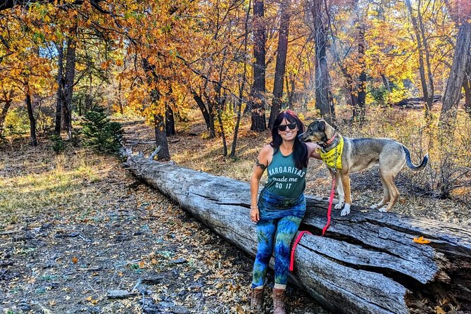 Big Bear Fall Colors Hiking Tour in Southern California - A Close Look at Big Bear Fall Colors Hiking Tour