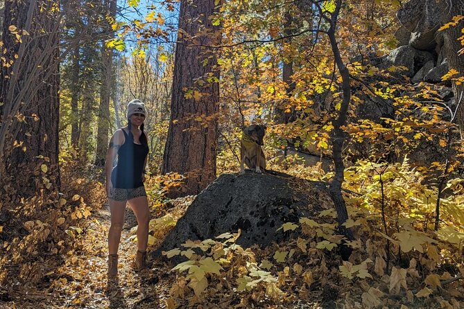 Big Bear Fall Colors Hiking Tour in Southern California - Who Should Book This Tour?