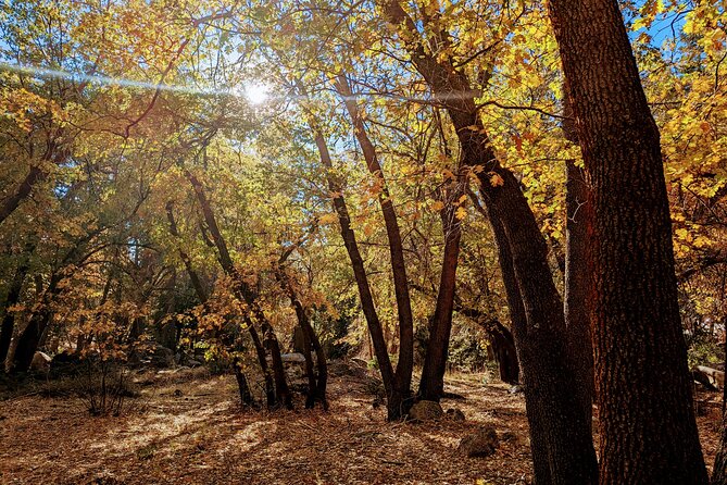 Big Bear Fall Colors Hiking Tour in Southern California - Final Thoughts