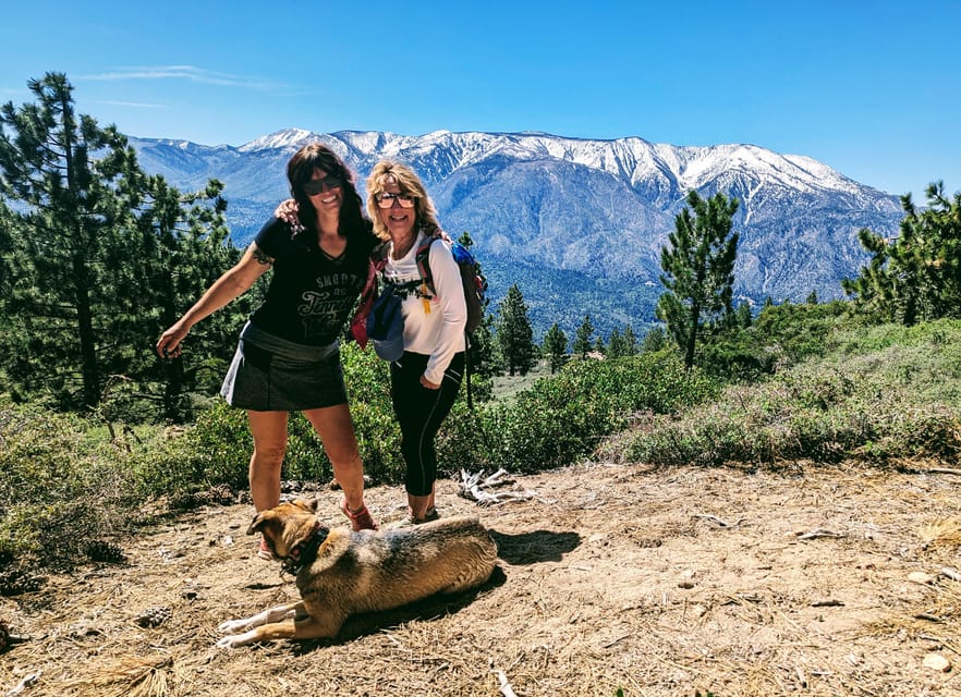 Big Bear: Family-Friendly Nature Walk w Hot Chocolate - Key Points