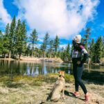 Big Bear: Family-Friendly Nature Walk w Hot Chocolate - An In-Depth Look at the Experience
