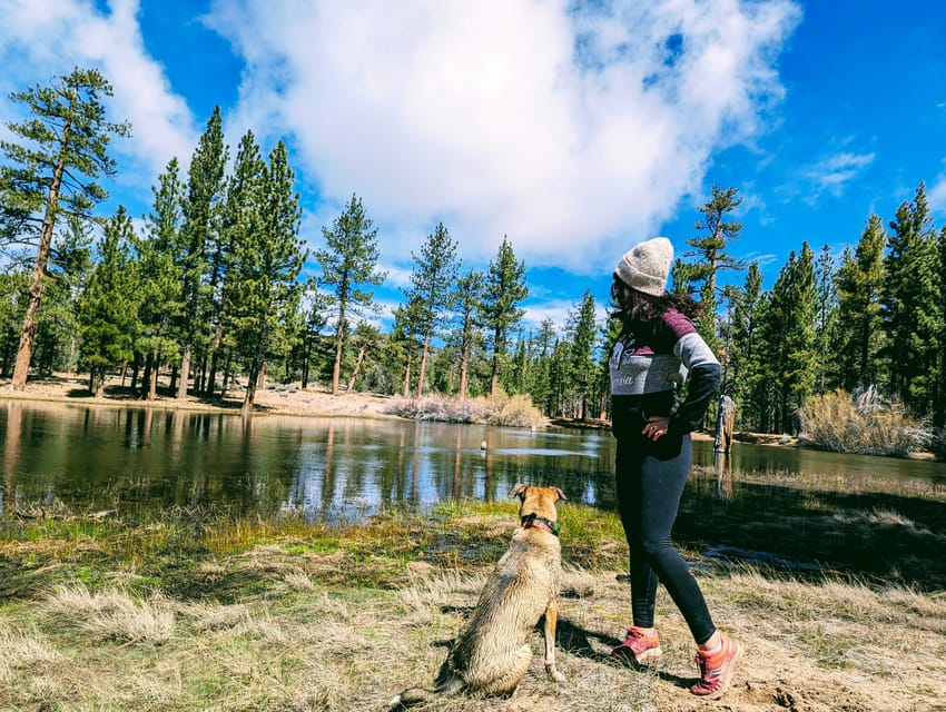 Big Bear: Family-Friendly Nature Walk w Hot Chocolate - An In-Depth Look at the Experience