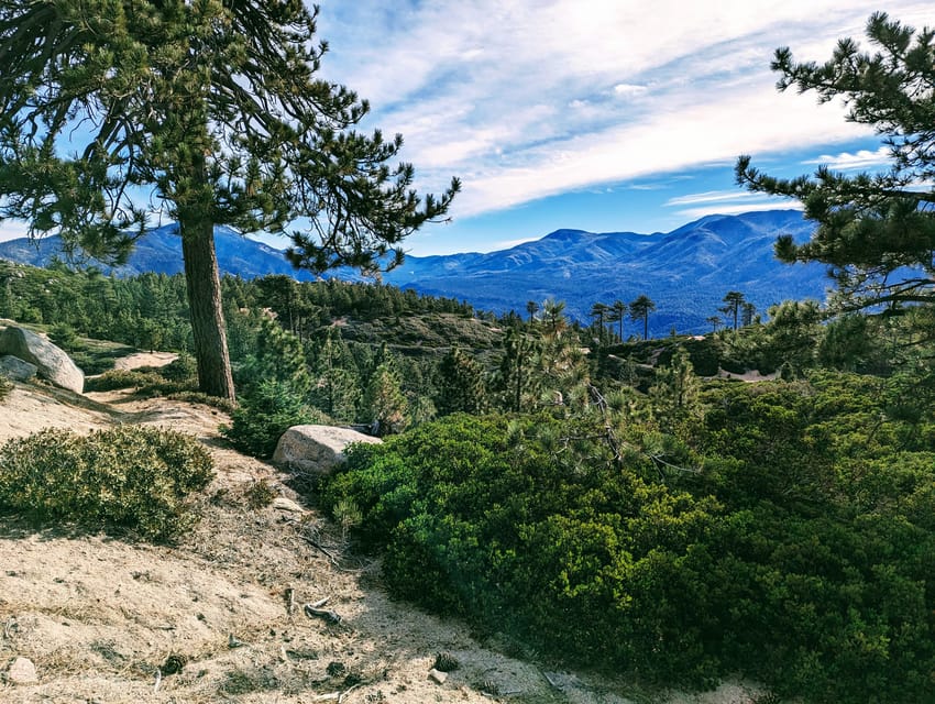 Big Bear: Family-Friendly Nature Walk w Hot Chocolate - Who Will Benefit Most?