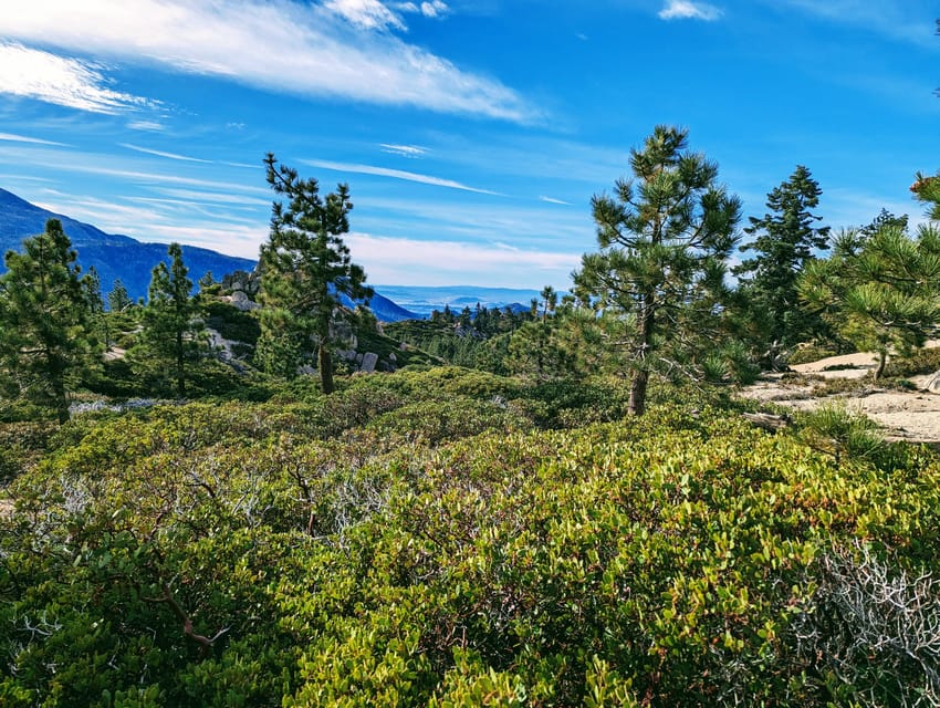 Big Bear: Family-Friendly Nature Walk w Hot Chocolate - Final Thoughts