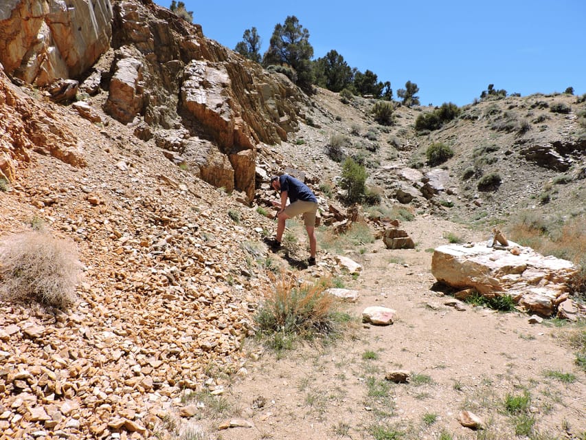 Big Bear Lake: From seafloor to mountain, the story of gold - Key Points