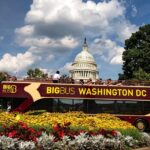 Big Bus DC: Hop-On Hop-Off Sightseeing Tour with 17 Stops - Who Will Love This Tour?