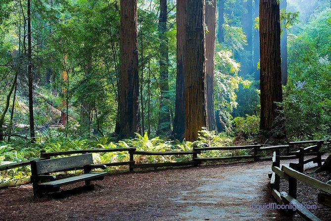Big Bus San Francisco: Guided Muir Woods Tour - Seamless Transportation & Departure Points  