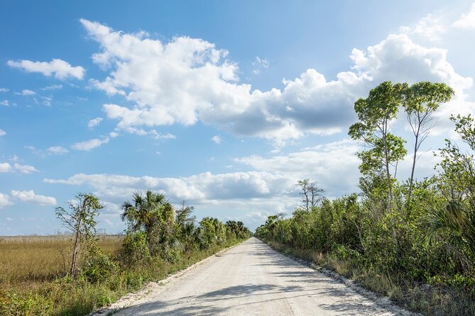 Big Cypress National Preserve Audio Tour Guide - Exploring the Itinerary: What You Can Expect