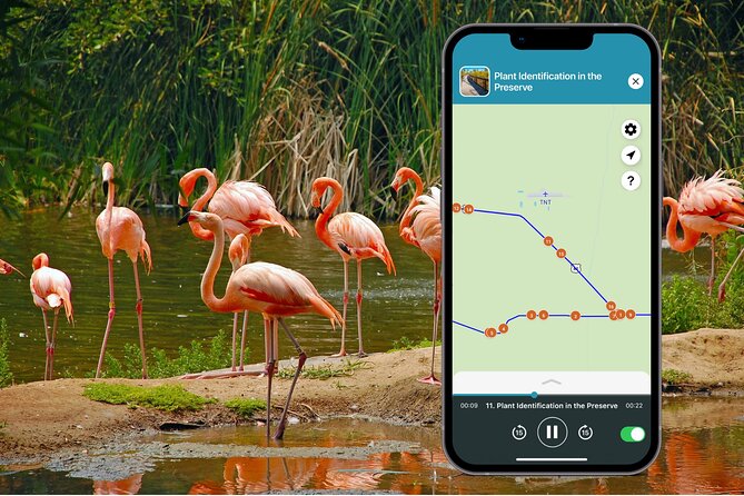 Big Cypress National Preserve Audio Tour Guide - Authentic Experiences & Tips