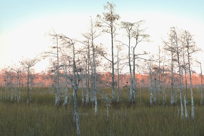 Big Cypress National Preserve Self Guided Driving Audio Tour - The Sum Up
