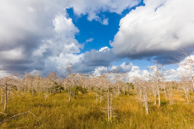 Big Cypress National Preserve Self Guided Driving Audio Tour - FAQ