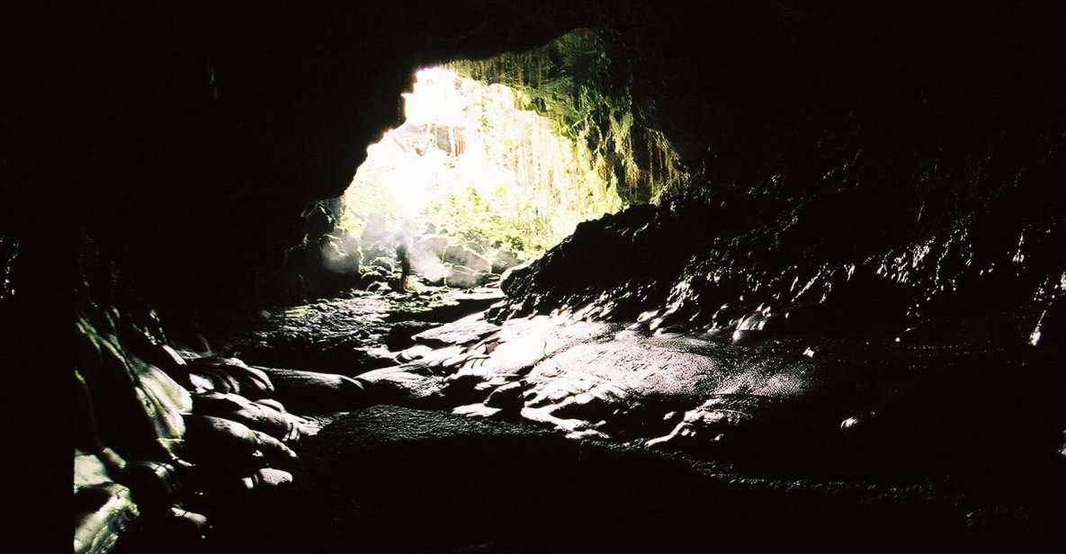 Big Hawaii: Private Guided Van Tour - Itinerary Breakdown: What Makes Each Stop Special