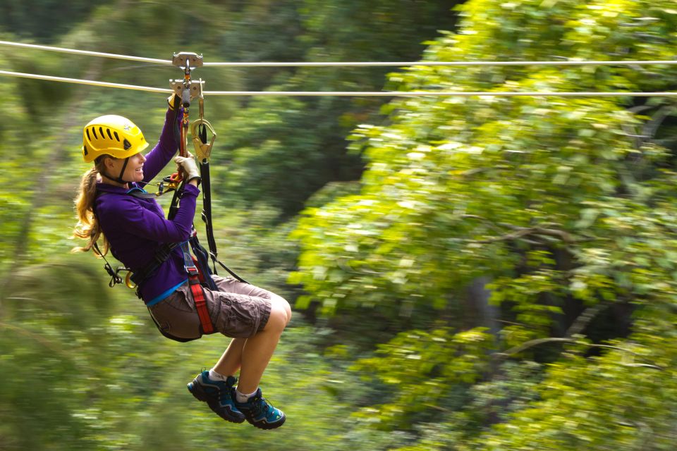 Big Island: 3-Hour Kohala Canopy Zipline Adventure - Authentic Experiences from Reviewers