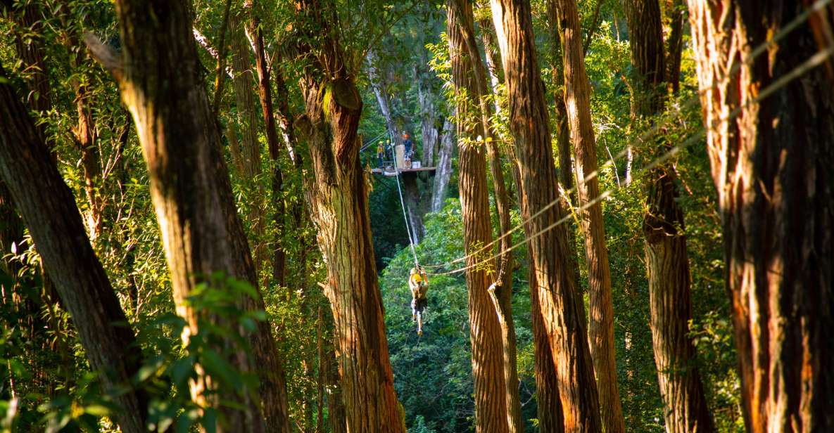 Big Island: 3-Hour Kohala Canopy Zipline Adventure - Final Thoughts: Is the Kohala Canopy Zipline Right for You?