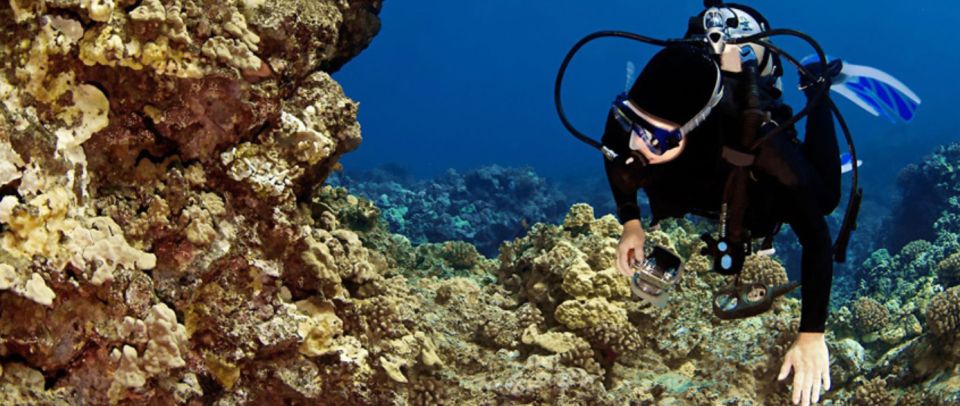 Big Island: 3 Hour Waikoloa Snorkeling & Sailing Adventure - Why This Tour Offers Great Value
