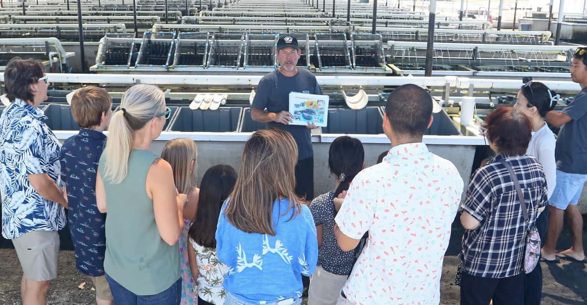 Big Island: Abalone Farm Guided Tour with Tasting - Key Points