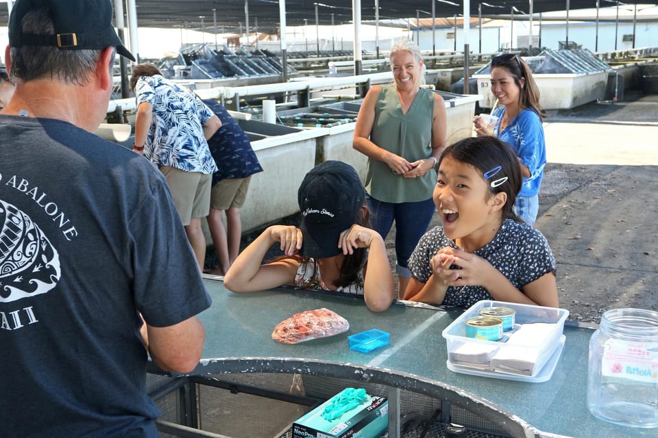 Big Island: Abalone Farm Guided Tour with Tasting - What is the Big Island Abalone Farm Tour?
