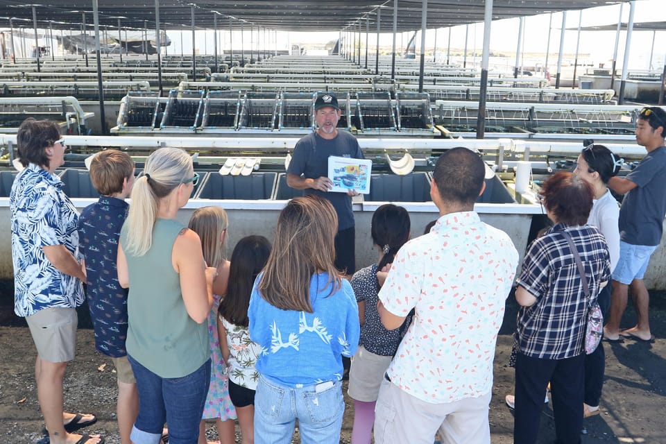 Big Island: Abalone Farm Guided Tour with Tasting - What Makes This Tour Special?
