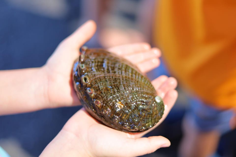Big Island: Abalone Farm Guided Tour with Tasting - FAQ