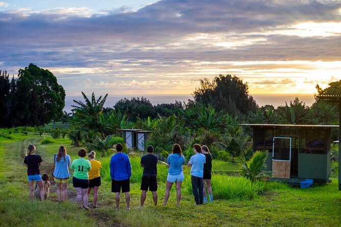 Big Island Farms Tour in Hawaii - The Setting and Meeting Point