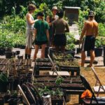 Big Island Farms Tour in Hawaii - Why This Tour Might Be a Great Choice