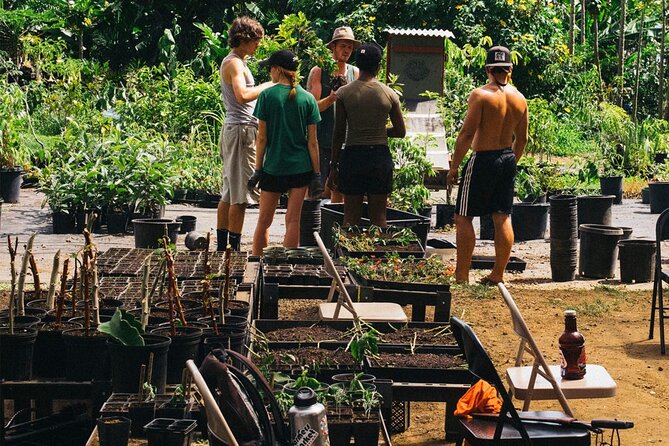 Big Island Farms Tour in Hawaii - Why This Tour Might Be a Great Choice