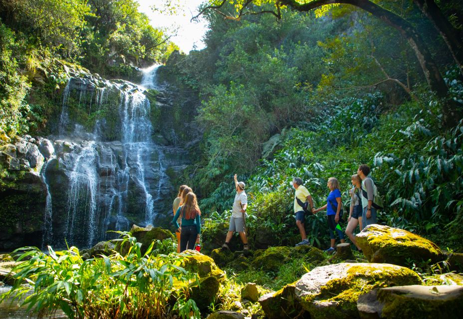 Big Island: Full Day Adventure Tour of the Kohala Waterfalls - An In-Depth Look at the Kohala Waterfalls Adventure