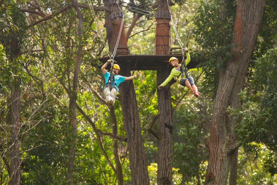 Big Island: Full-Day Kohala Zipline and Waterfall Adventure - Who Should Consider This Tour?
