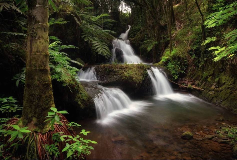 Big Island: Full-Day Sightseeing & Waterfalls Adventure Tour - Key Points