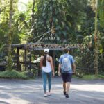Big Island: Full-Day Sightseeing & Waterfalls Adventure Tour - What Makes This Tour Stand Out
