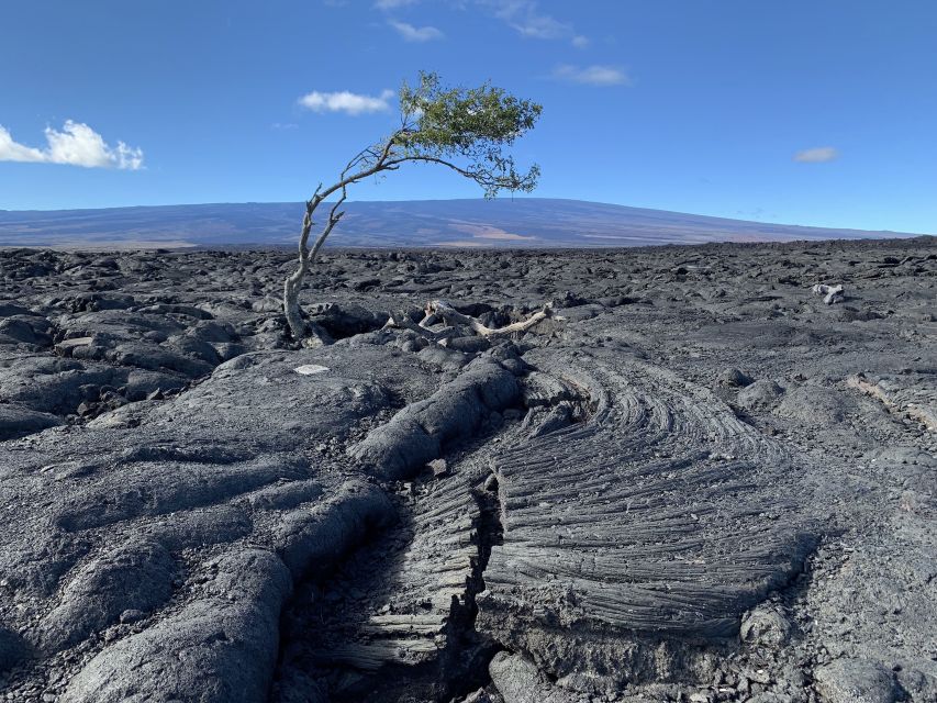 Big Island: Full-Day Sightseeing & Waterfalls Adventure Tour - Who Will Love This Tour?