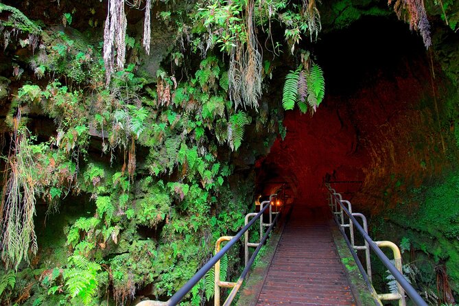 Big Island Half-Day Tour with Lunch - The Sum Up