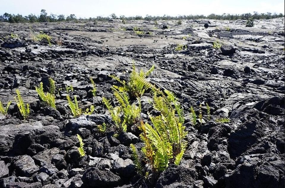 Big Island Hawaii Volcano Day tour from Oahu and Hotel PU - Transportation and Practical Details