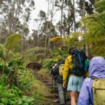 Big Island: Hawai'i Volcanoes National Park Guided Hike - The Costs and Value