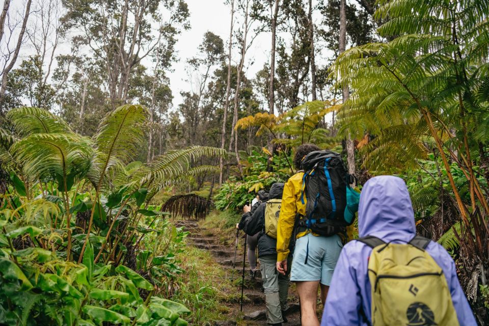 Big Island: Hawai'i Volcanoes National Park Guided Hike - The Costs and Value