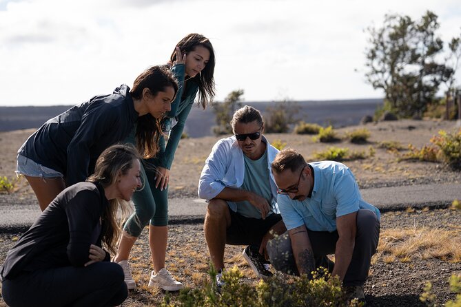 Big Island Highlights: Coffee, Volcano, Black Sands & Waterfall - Final Thoughts: Who Will Love This Tour?