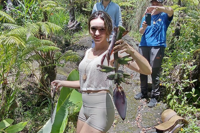 Big Island Jungle Tour with Banana and Guava Green Tea - An Overview of the Big Island Jungle Tour