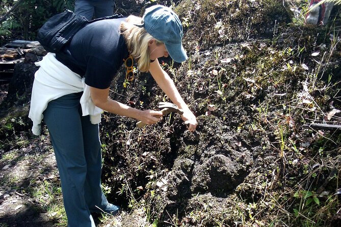 Big Island Jungle Tour with Banana and Guava Green Tea - Frequently Asked Questions