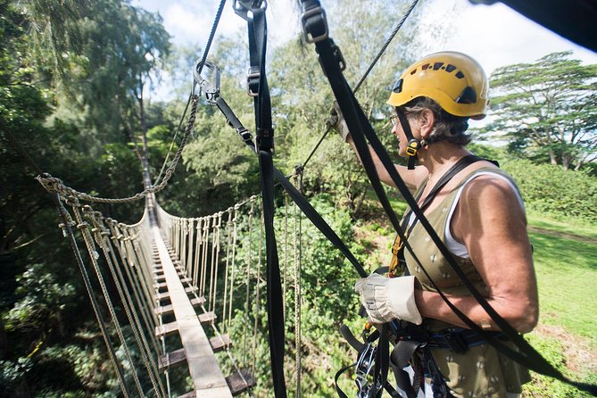 Big Island Kohala Canopy Zipline Adventure - Authentic Guest Feedback
