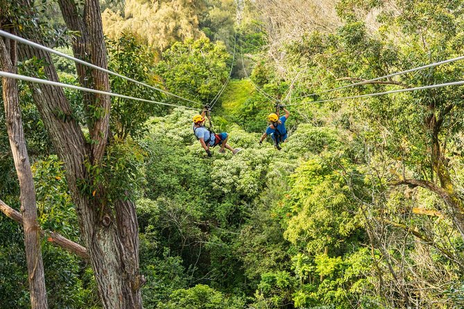 Big Island Kohala Zip and Dip Tour from Kona - Key Points
