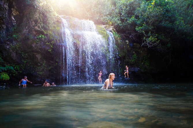 Big Island Kohala Zip and Dip Tour from Kona - An In-Depth Look at the Tour Experience